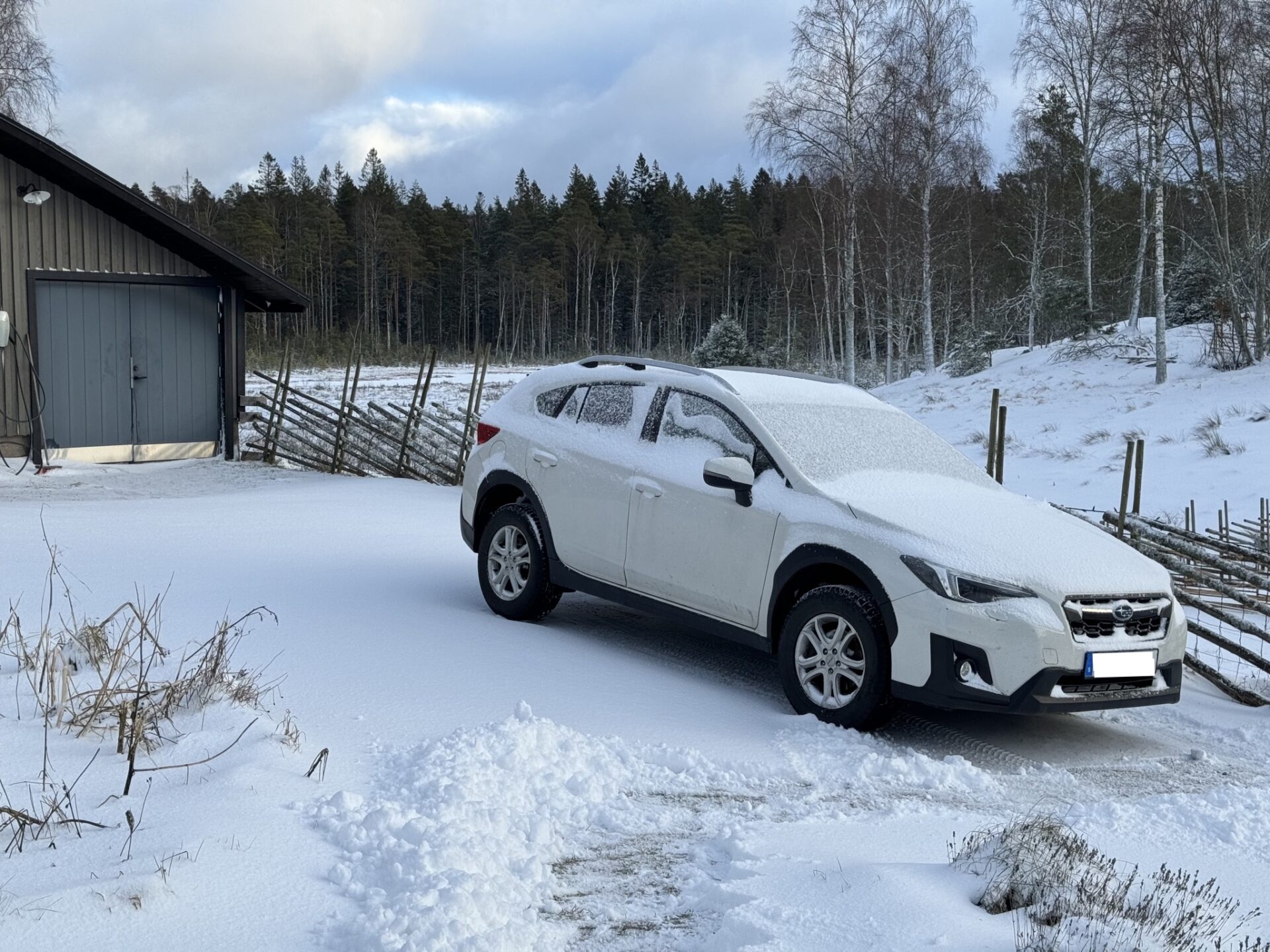 Foton: Never forget snöstormen 17:e januari – Cornucopia?