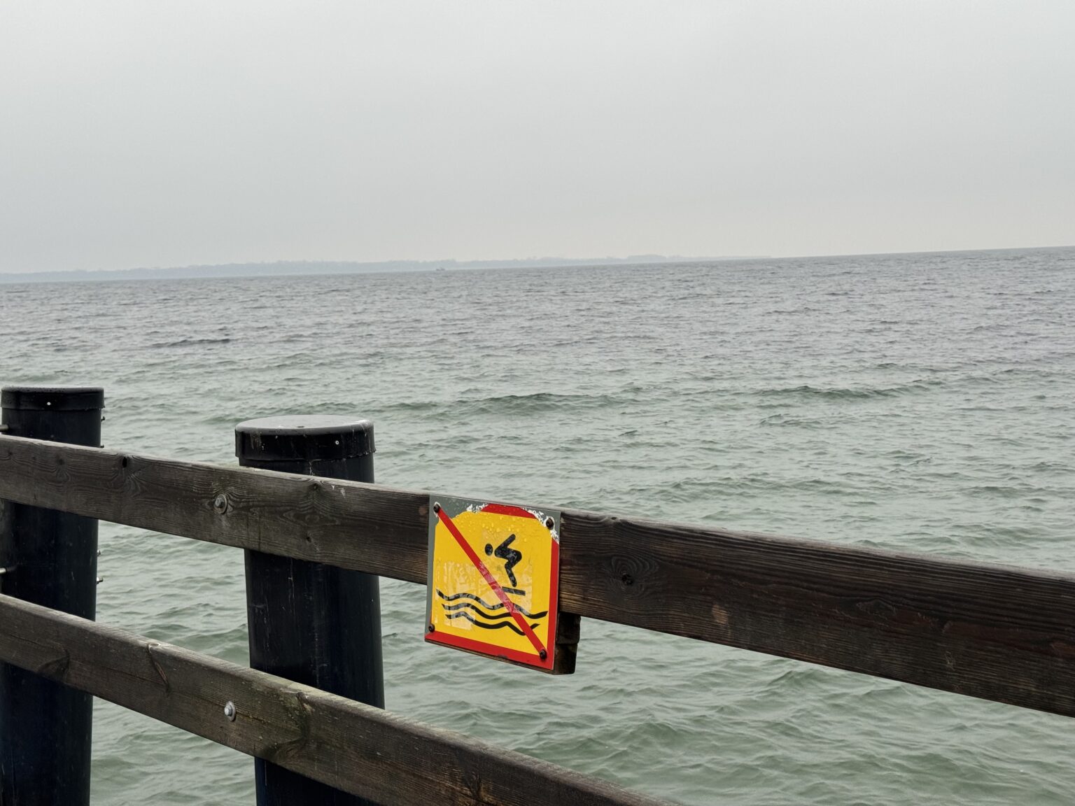 Foton: Trivas på stranden i Helsingborg – Cornucopia?