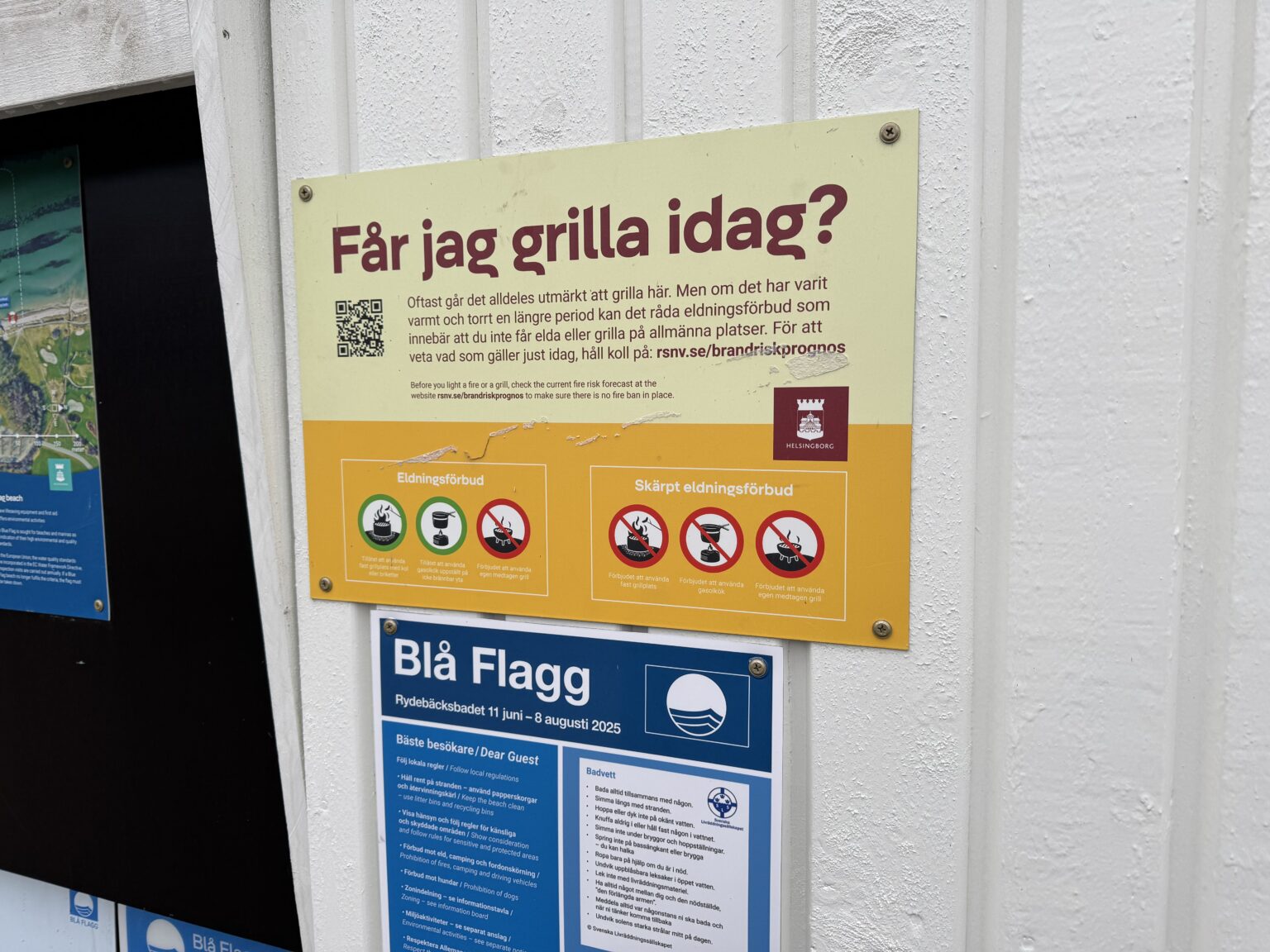 Foton: Trivas på stranden i Helsingborg – Cornucopia?